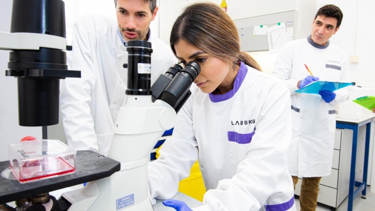 Pigmented Skin from the Laboratory | CosmeticBusiness