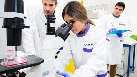 Pigmented Skin from the Laboratory | CosmeticBusiness