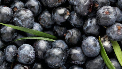 Super berry for skin care | CosmeticBusiness