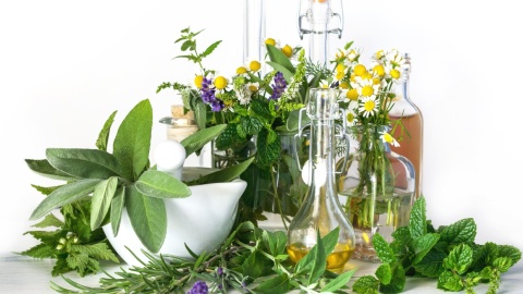 Botanical Diversity For Cosmetics | CosmeticBusiness